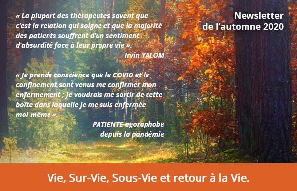 Ressources - CEFoRT Les ressources CEFoRT pour approfondir la SE