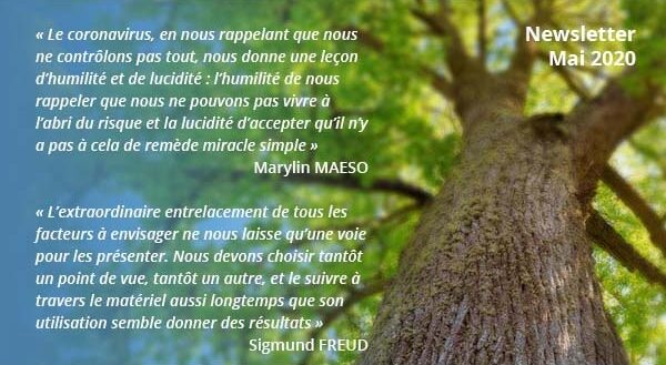 Ressources - CEFoRT Les ressources CEFoRT pour approfondir la SE